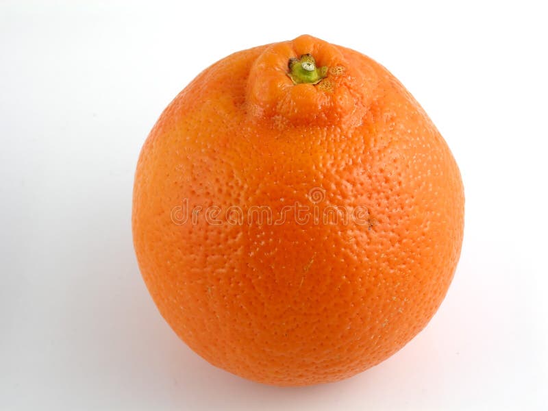 Tangelo stock photo. Image of hybrid, juicy, tangerine - 230708