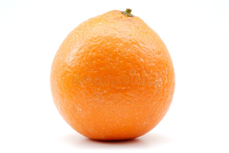 Tangelo isolated on white stock photo. Image of tangelo - 4510626