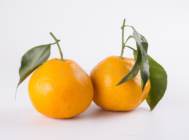Tangerina dois imagem de stock. Imagem de cresça, citrino - 84896531