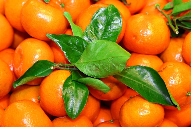 Mandarin Skin Textures Stock Photos - Free & Royalty-Free Stock Photos ...