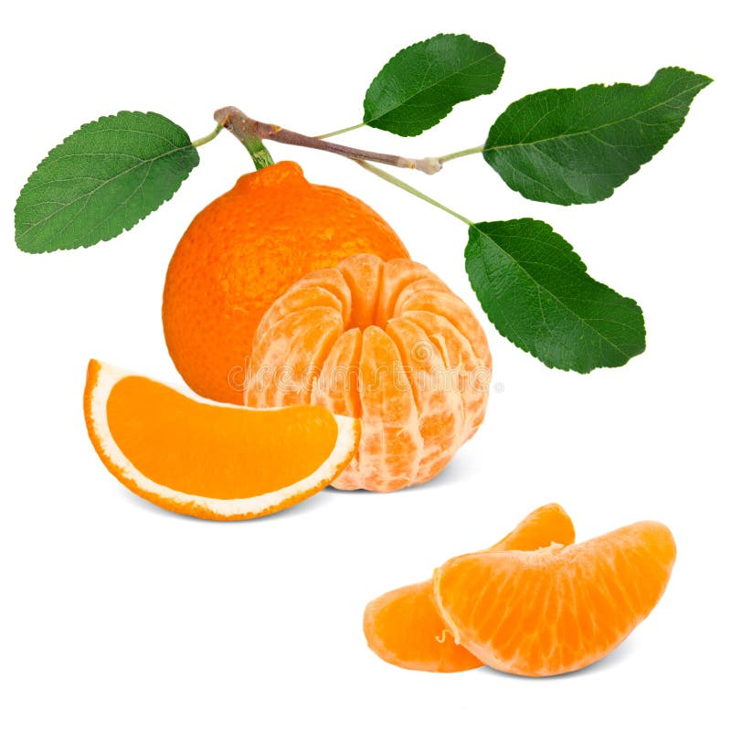 Tangerine stock photo. Image of juicy, exotic, crop, dieting - 23225492