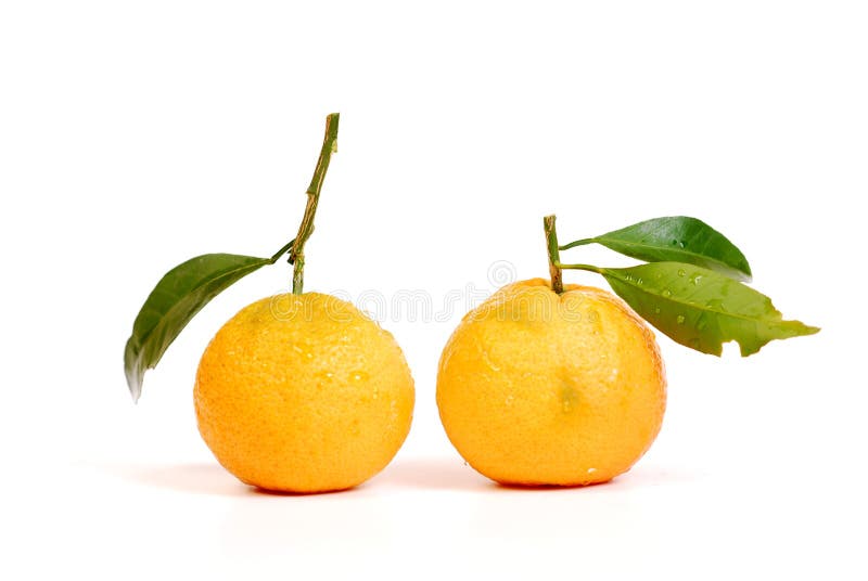 Tangerine stock photo. Image of color, freshness, chopped - 7227282