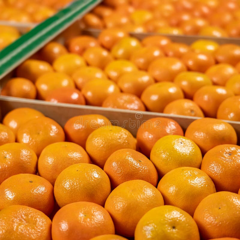 Tangerine Boxes Placed, Close-up View with Unfocused Background. Stock ...