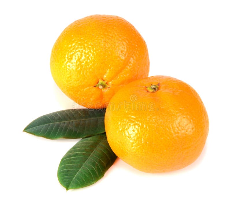 Tangerine with Green Leaves Stock Image - Image of bright, color: 22804519
