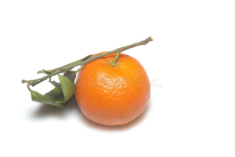 Tangerine isolated stock photo. Image of citrus, healthy - 7533910