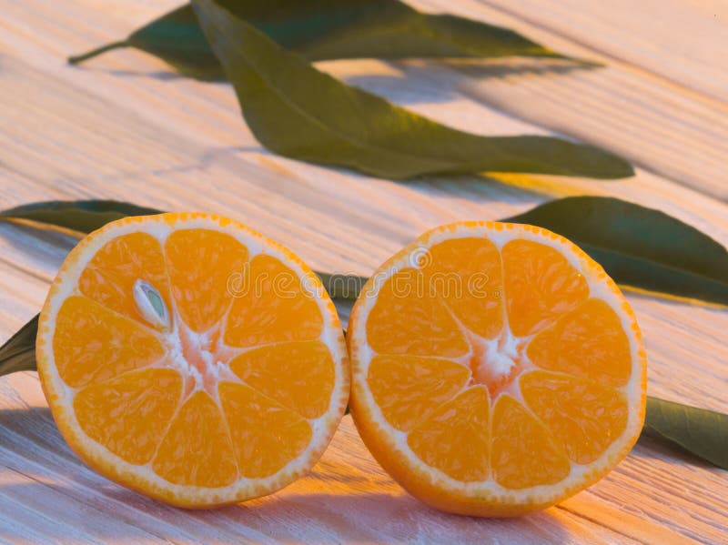 Tangerine stock photo. Image of orange, ripe, tropical - 82644122