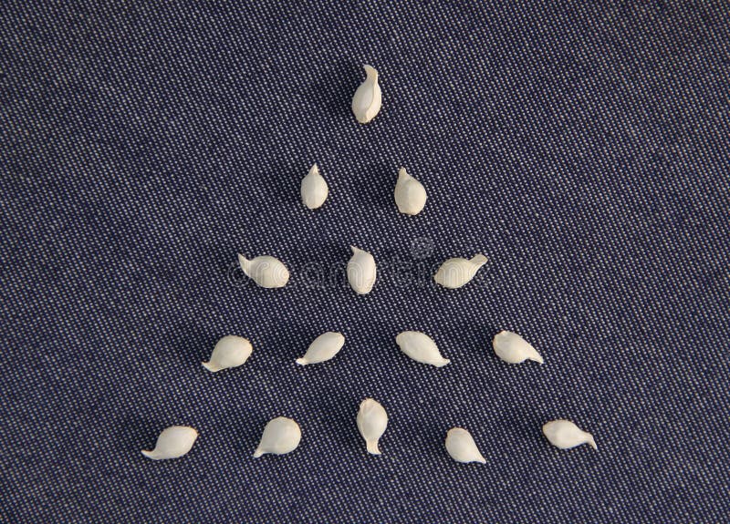 29,574 Triangle Pattern Stock Photos - Free & Royalty-Free Stock Photos ...