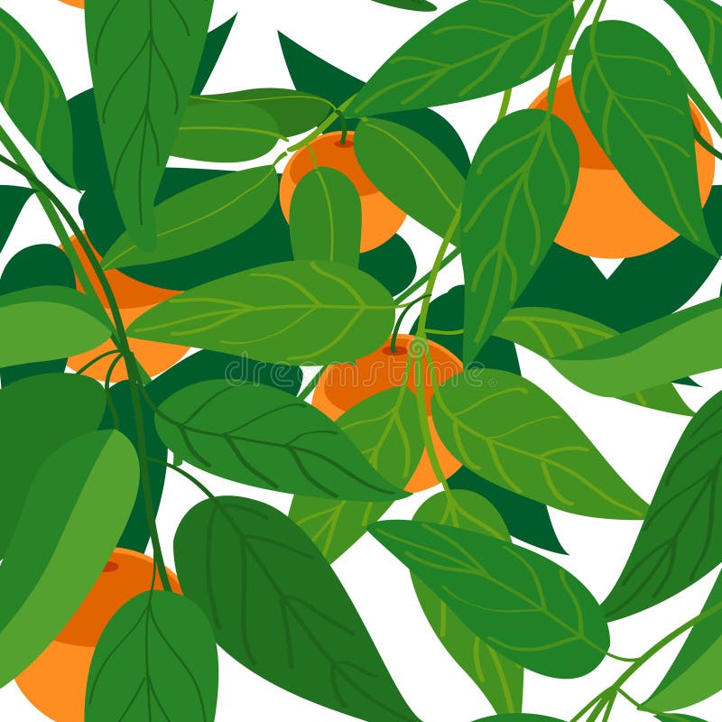 Tangerine tree seamless stock vector. Illustration of health - 19624546