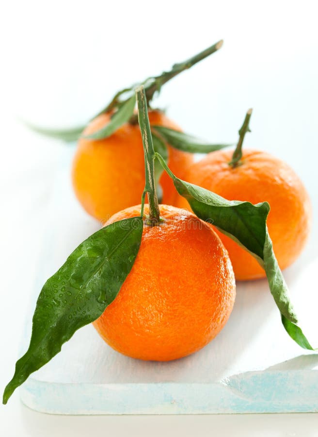 Tangerines stock image. Image of juicy, vertical, isolated - 16890253