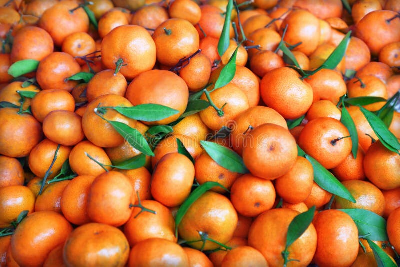 Tangerines stock image. Image of exotic, ripe, leafs - 27357441