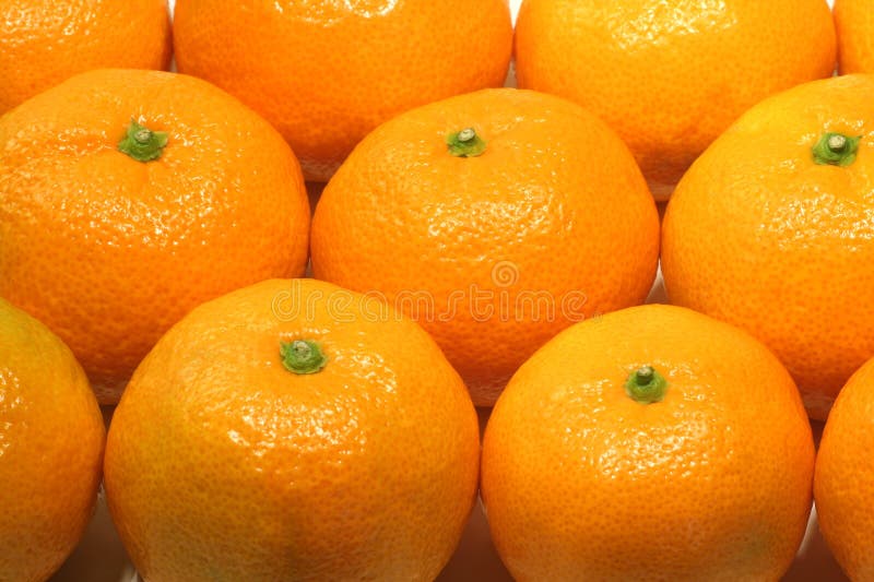 Tangerines stock image. Image of tangerine, vitamine, juicy - 7283813