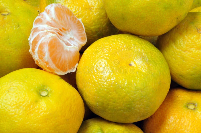 Tangerines stock image. Image of grocery, tangerines, harvest - 9157333