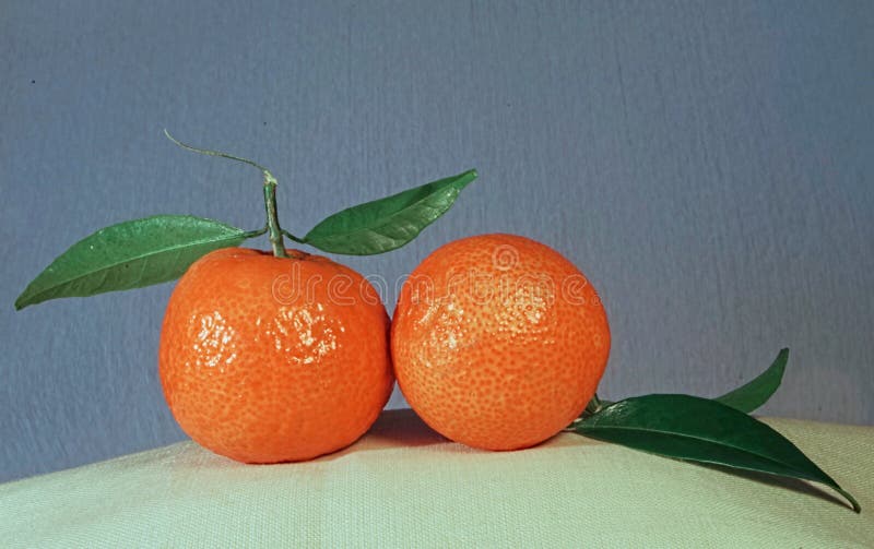 Tangerines stock photo. Image of care, freshly, fruits - 78630926