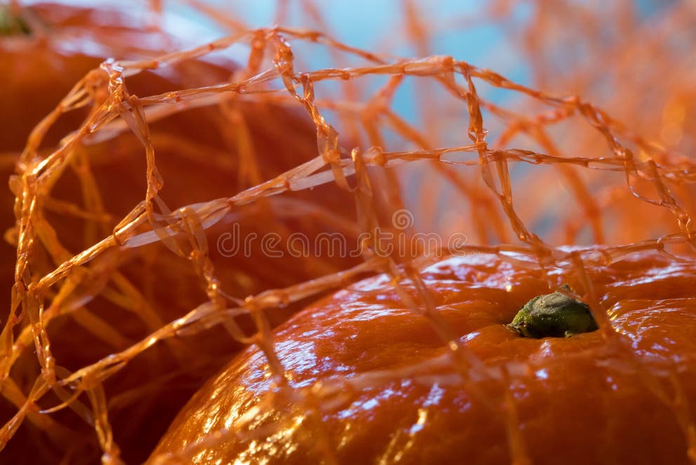 Tangerines in a Orange Plastic Net Stock Image - Image of warm ...