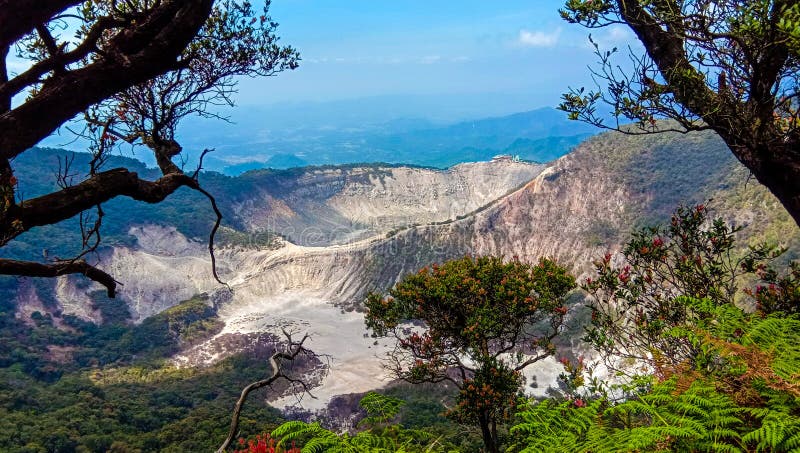 Tangkuban Parahu crater stock photo. Image of morning - 261648472