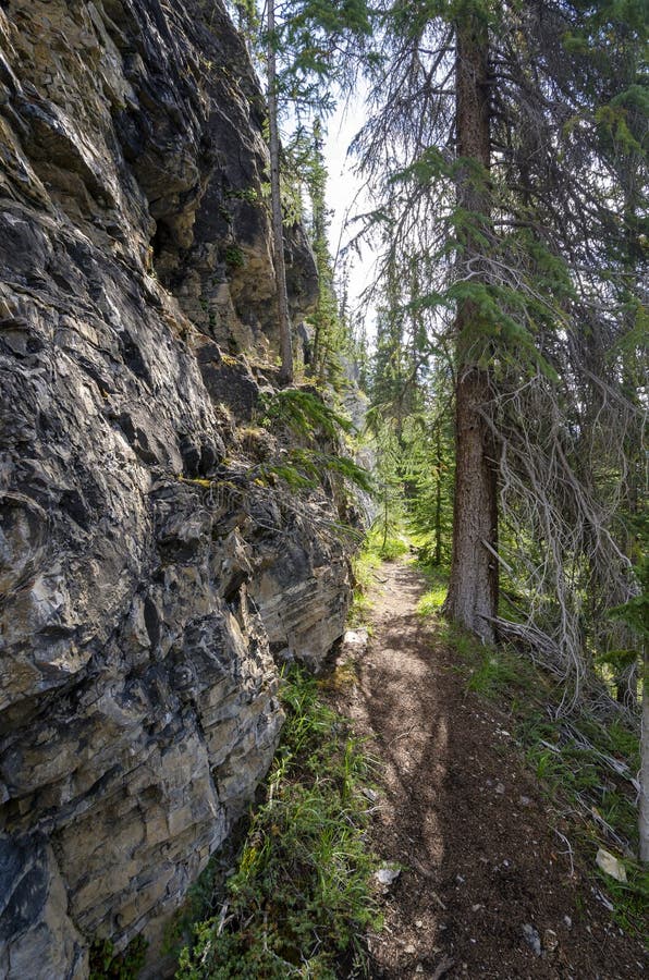 Tangle Creek Falls in Canada Stock Photo - Image of waterfall, trees ...