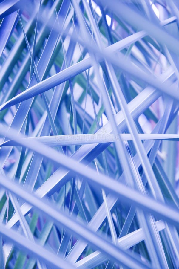 Tangle of leaves stock photo. Image of dense, branch - 22531792