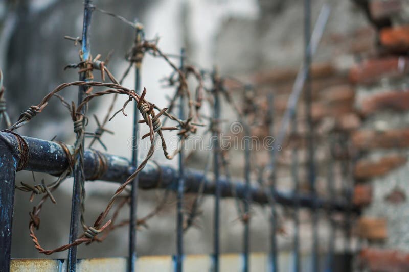 A Tangle of Rusty Barbed Wire Around the Iron Fence Stock Image - Image ...