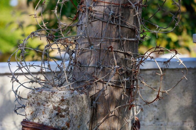 Tangled Barbed Wire. Abstract Background with Selective Focus Stock ...