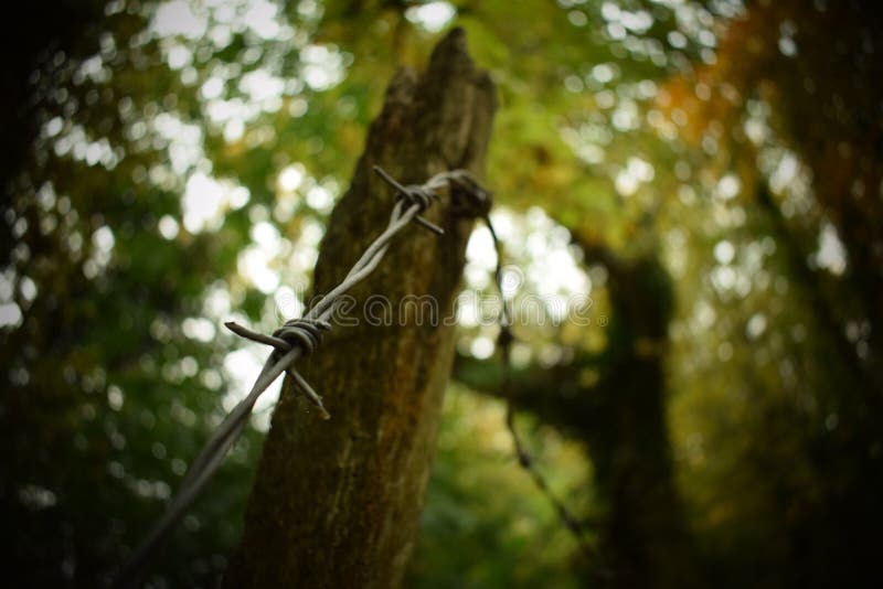 Tangled Barbed Razor Wire Atop Barricade Wall in Southeast Asia Stock ...