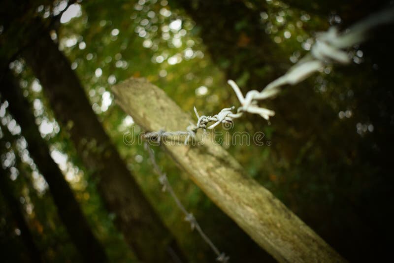 Tangled Barbed Razor Wire Atop Barricade Wall in Southeast Asia Stock ...