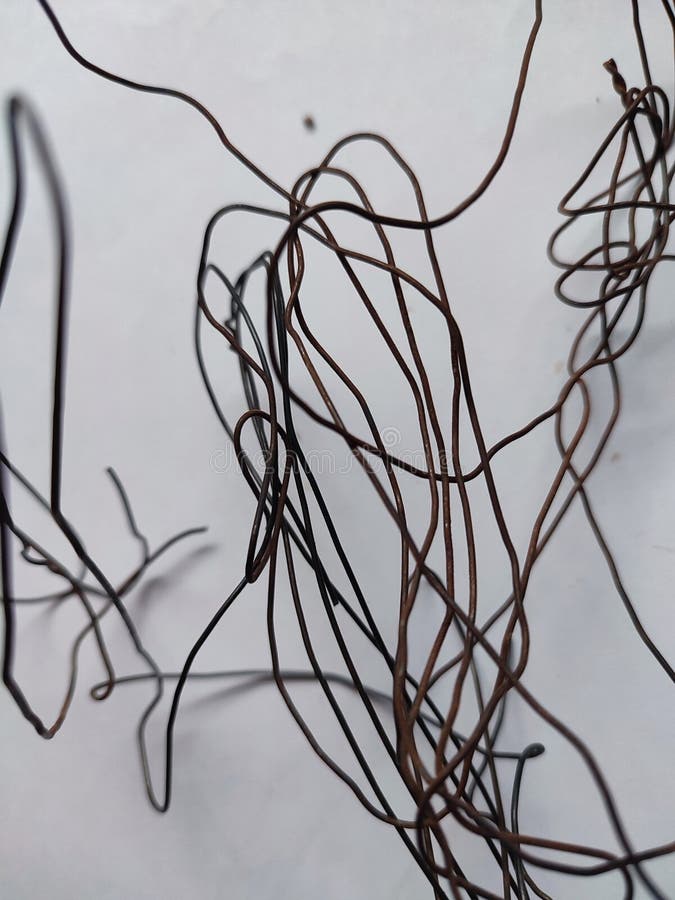 Tangled Black Wire on White Stock Photo - Image of power, data: 312915090