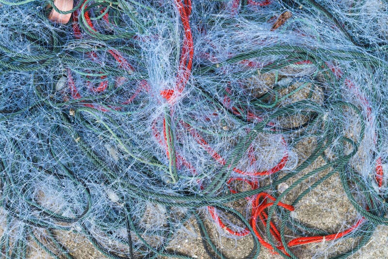 Used fishing lures stock photo. Image of plastic, lure - 50833500