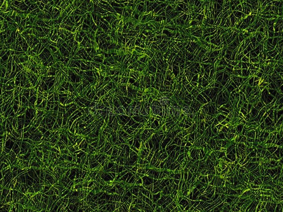 Tangled Lush Green Grass Texture of Evening Time Stock Photo - Image of ...