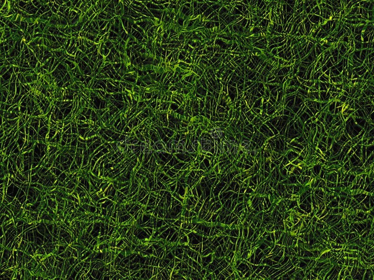 Tangled Lush Green Grass Texture of Evening Time Stock Photo - Image of ...