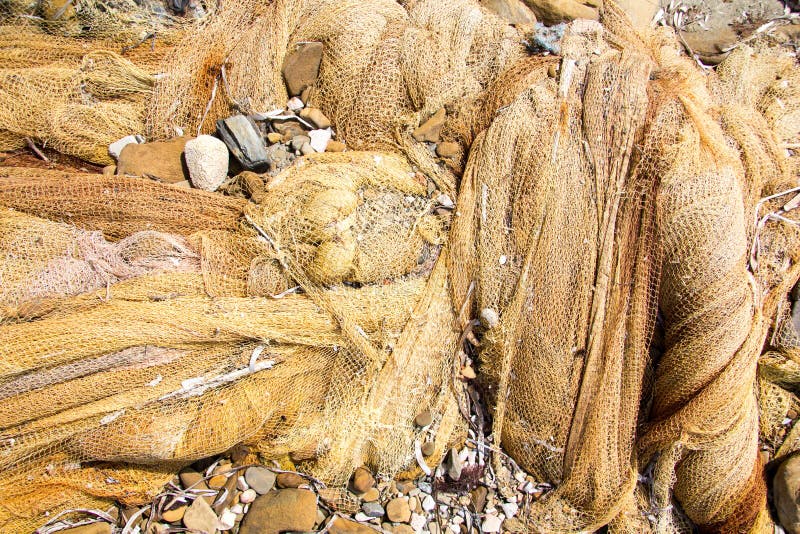 Tangled in a net stock photo. Image of represent, model - 12066094