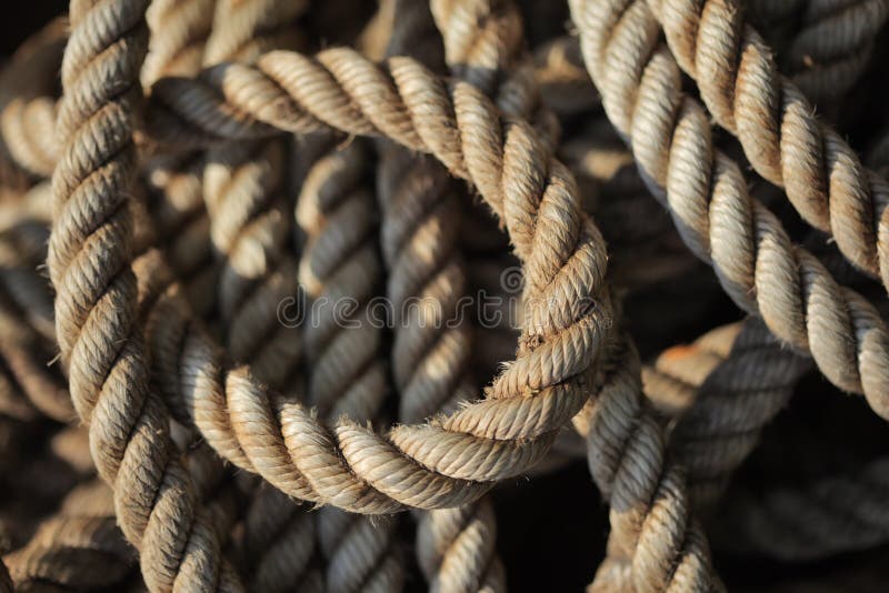 160+ Tangled rope Free Stock Photos - StockFreeImages