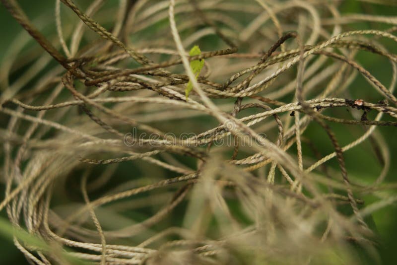 Tangled Thread Image, Blur Effect Abstract Wallpaper Background Stock ...