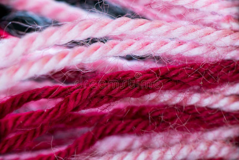 237 Tangled Wool Sheep Stock Photos - Free & Royalty-Free Stock Photos ...