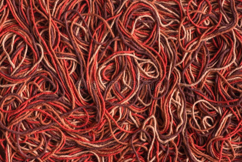 Minaret2010 - Photographer profile