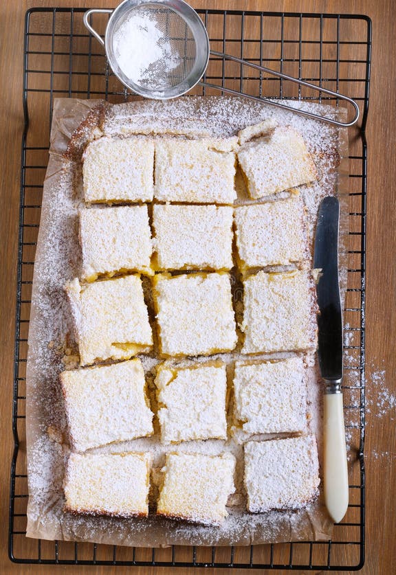Tangy lemon squares stock image. Image of citrus, slices - 55587203
