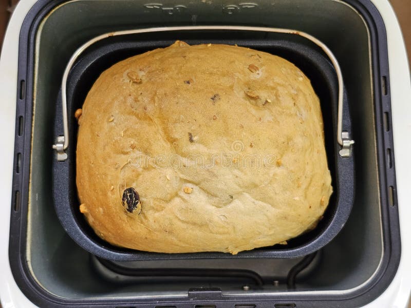 Tangzhong Bread with Nuts, Seeds and Raisins Fully Baked Using ...