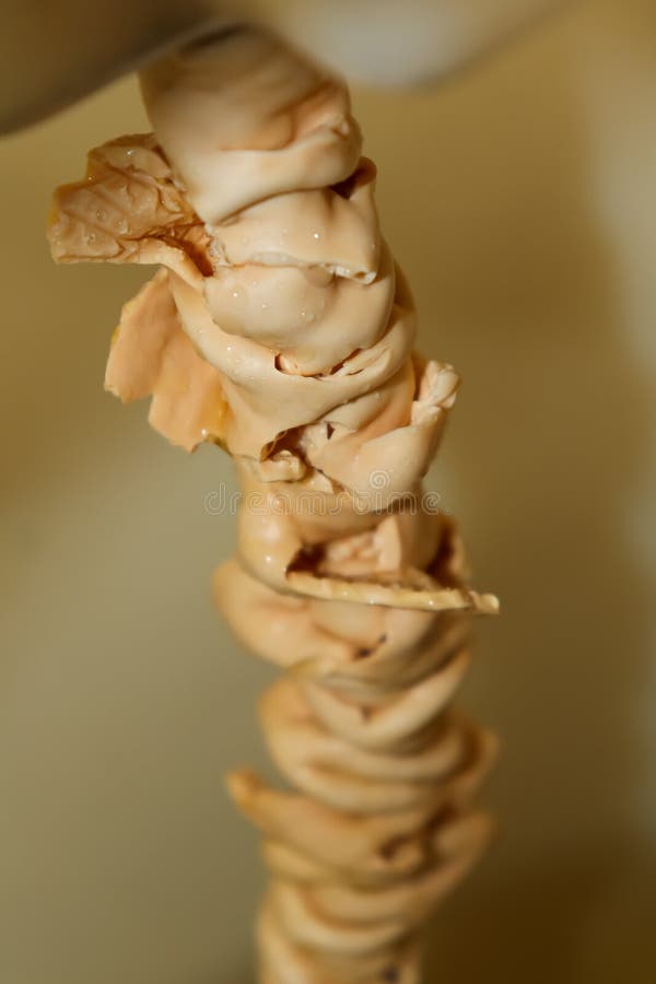 Tank anti scale stock image. Image of analysis, pipe - 215525143