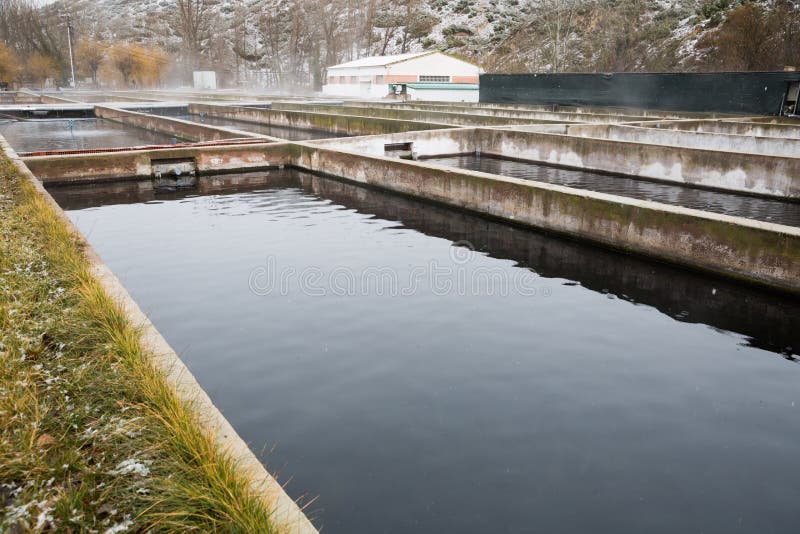 Tanks Outdoors of Fish Farm Stock Photo - Image of reservoir ...