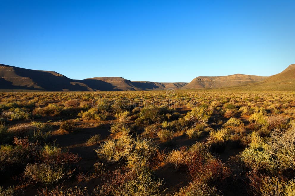 Tankwa Karoo National Park Veldt in the Valley Stock Image - Image of ...
