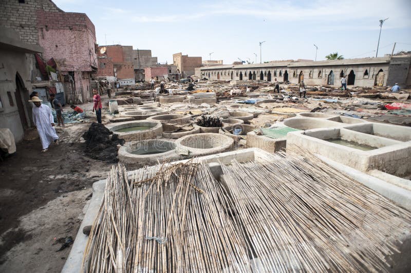 Tannery in Marrakesh, Morocco Editorial Stock Image - Image of african ...