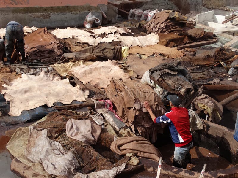 Tannery at Marrakesh, Morocco Editorial Photography - Image of ...