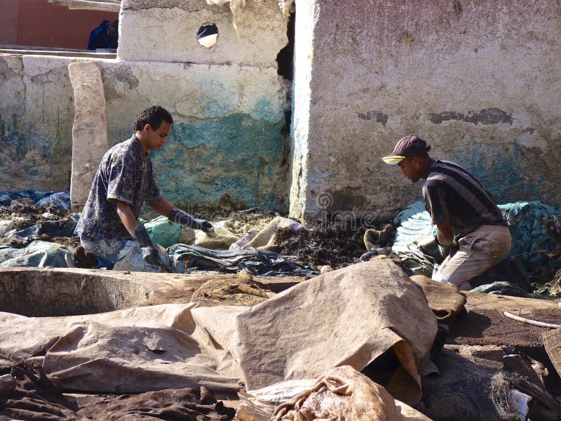 Tannery Workers in Marrakech Morocco Editorial Stock Photo - Image of ...