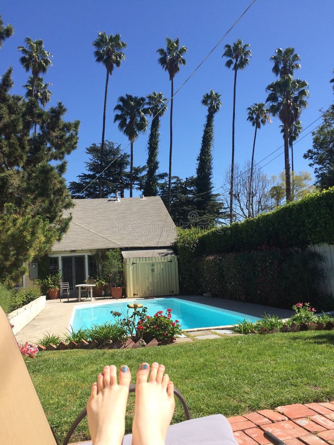 Tanning by the pool stock image. Image of grass, backyard - 55873133