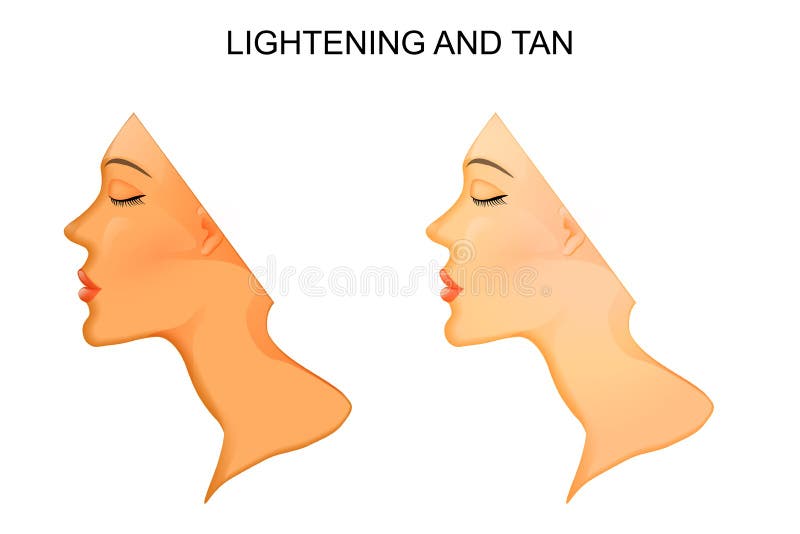 Tanning Stock Illustrations – 7,745 Tanning Stock Illustrations ...