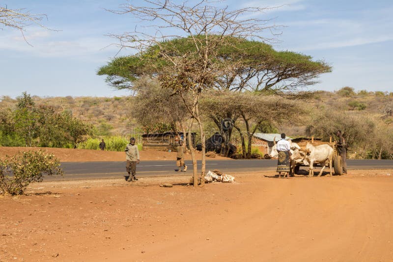 Tansania-Landleben redaktionelles stockfotografie. Bild von oekosystem ...