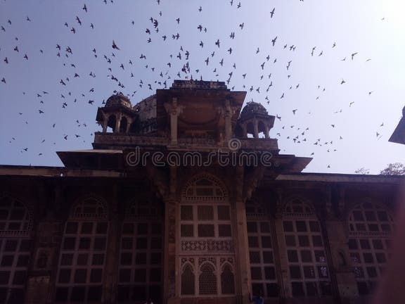 Tansen makbra stock image. Image of real, natural, tansen - 87781795