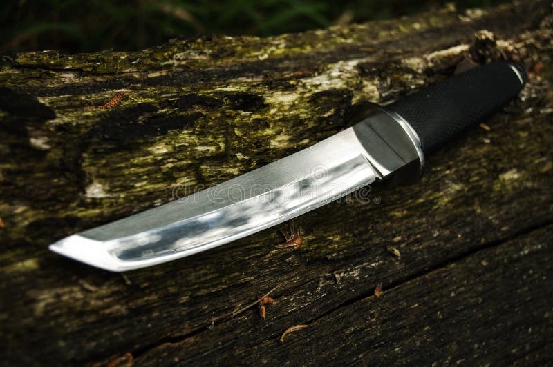 Tanto knife on wood stock image. Image of handle, nature - 73966955