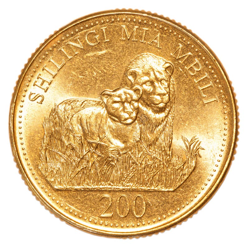 200 Tanzanian Shilling Coin Stock Photo - Image of economy, market ...