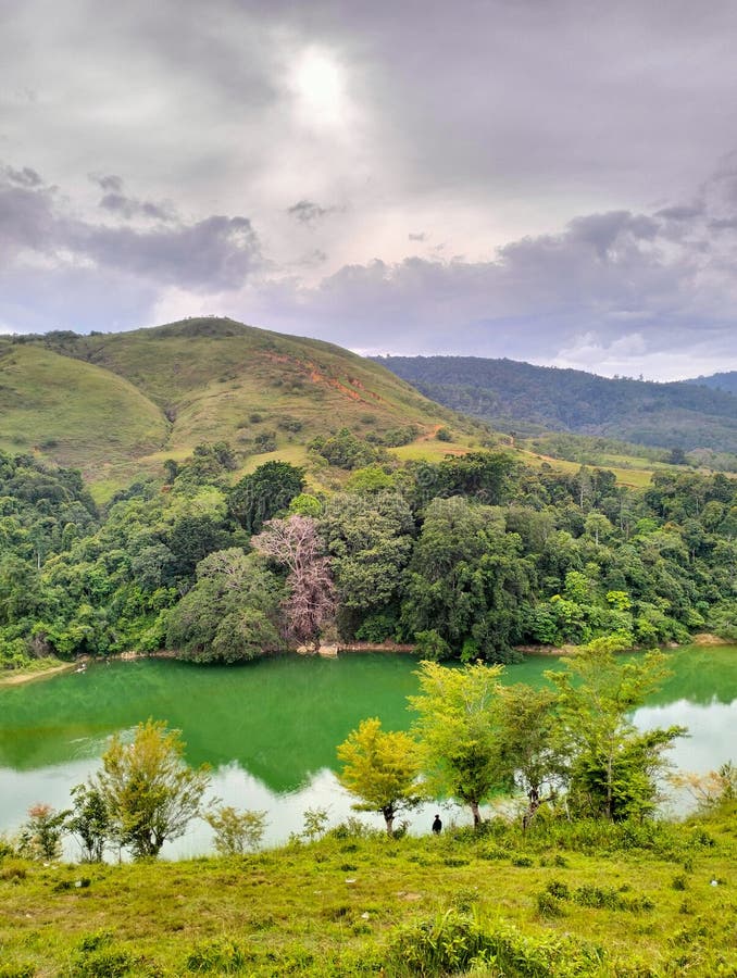 TAO lake in north sumatera stock photo. Image of tree - 264827742