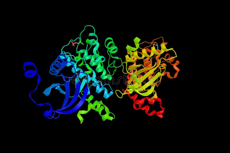 TAOK2, an Enzyme Has Been Shown To Interact with MAP2K6 and MAP2K3. 3d ...